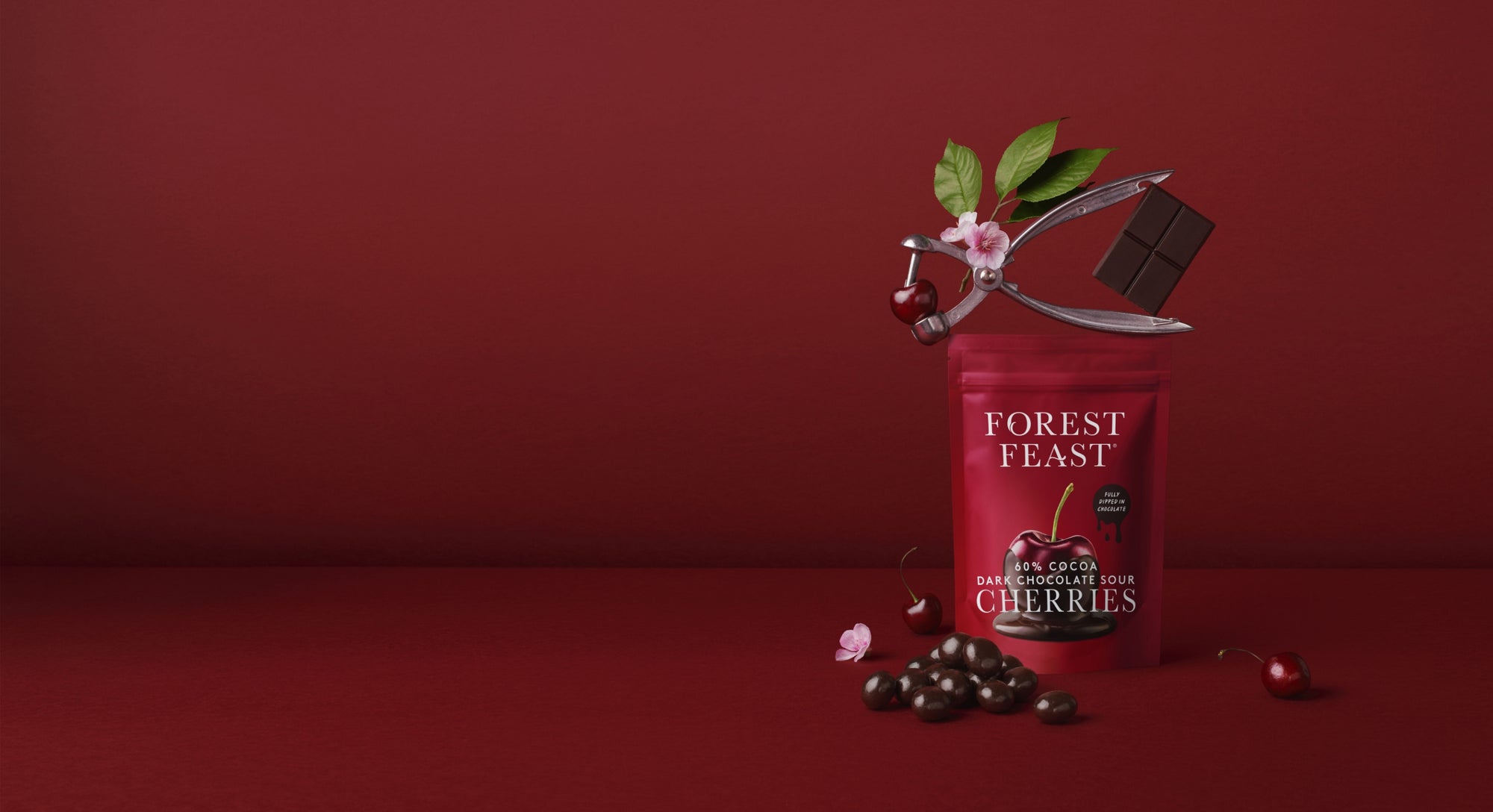 Forest Feast | The Trailblazers of Treats | Shop Online